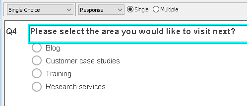 Customizing the Slider Control templates | SnapSurveys