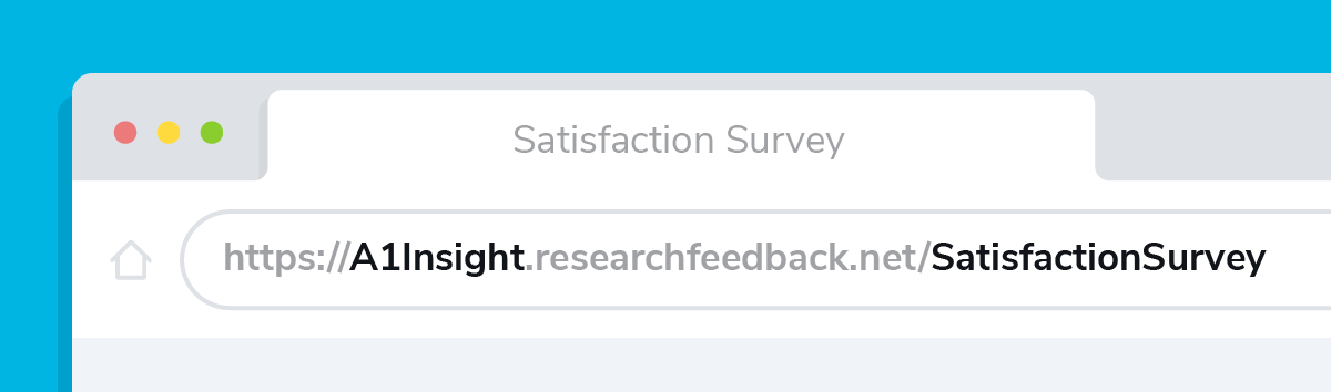 Custom URLs | Snap Surveys